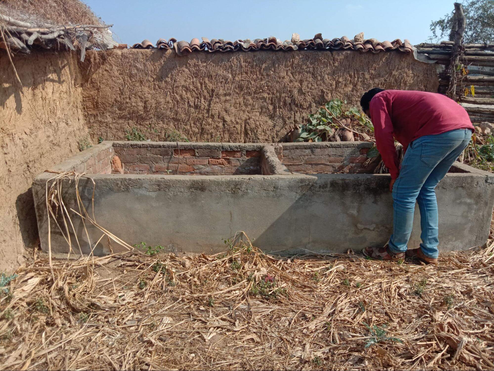 Low-Cost Vermicompost Instead of Inorganic Fertilizers | Hear from ...